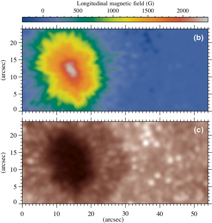 WaLSAtools | B-ω Diagram